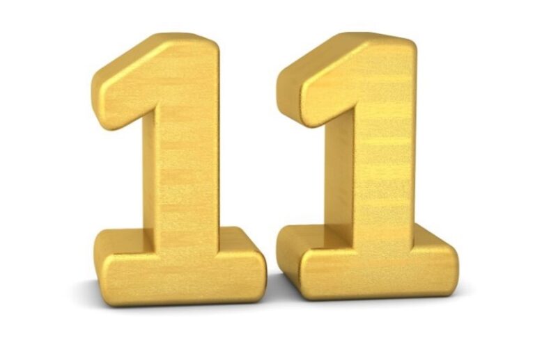 Elfer Raus: Regeln & Spielanleitungen - Lebens Karneval