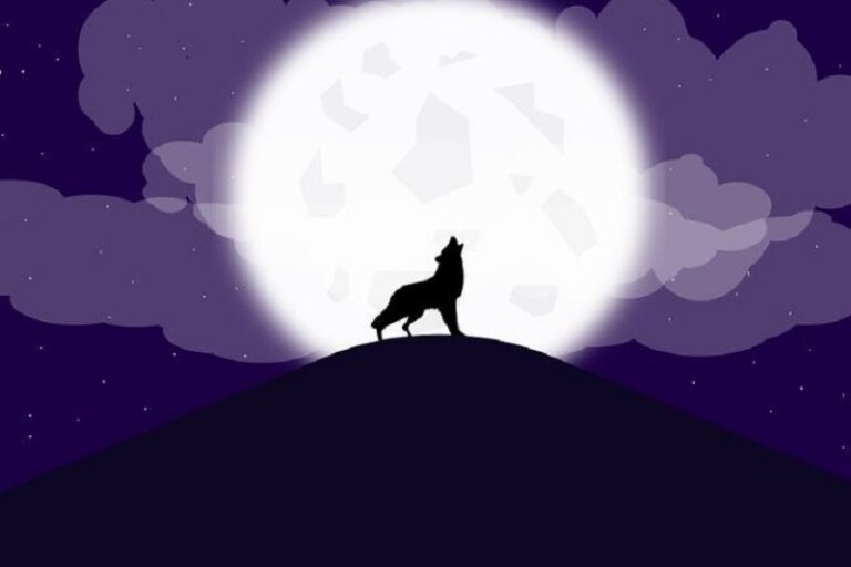 Werwölfe Vom Düsterwald! Das Beste Werwolf Spiel