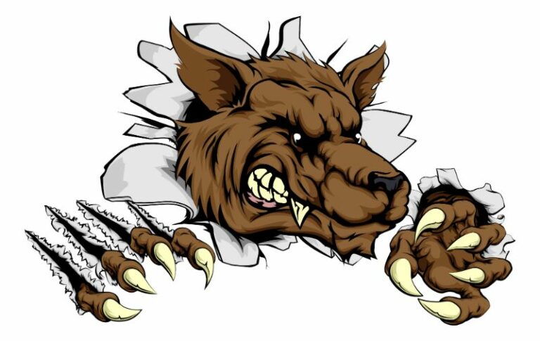 Werwölfe Vom Düsterwald! Das Beste Werwolf Spiel - Lebens Karneval