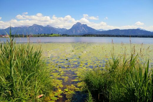 Ruhe In Frieden Sprüche: So Zeigen Sie Mitgefühl Durch Die Trauerkarte
