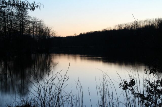 Ruhe In Frieden Sprüche: So Zeigen Sie Mitgefühl Durch Die Trauerkarte