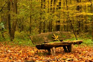 Ruhe In Frieden Sprüche: So Zeigen Sie Mitgefühl Durch Die Trauerkarte