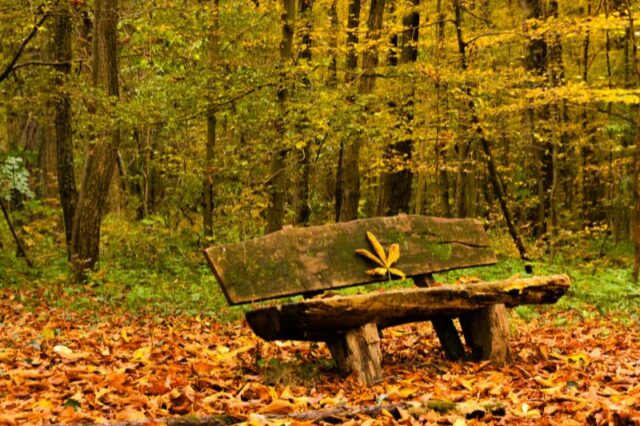 Ruhe In Frieden Sprüche: So Zeigen Sie Mitgefühl Durch Die Trauerkarte