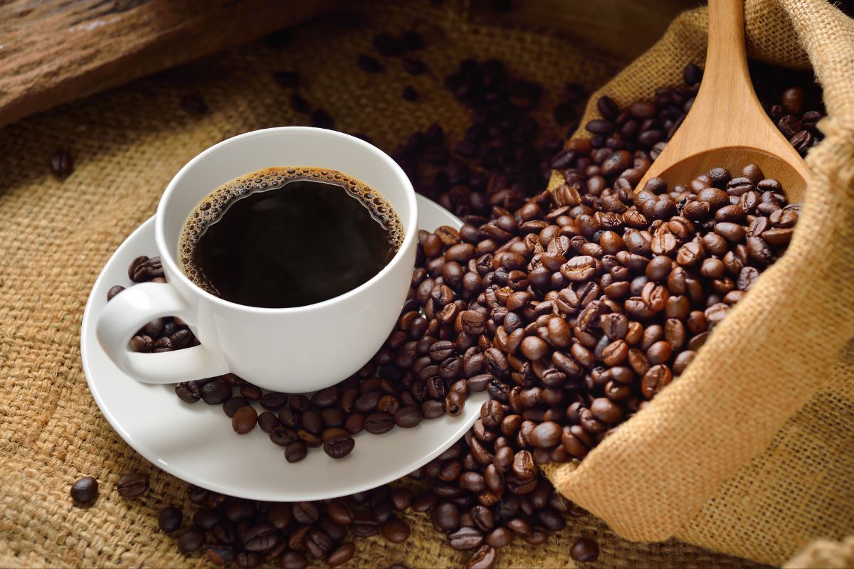 Rund Um Den Kaffee
