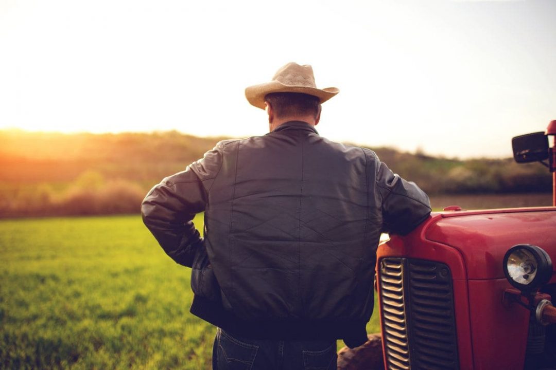 Die Besten Bauern Sprüche Und Zitate In Einer Großen Sammlung!